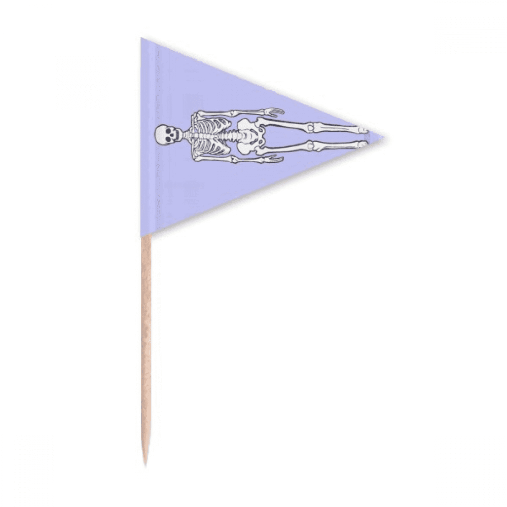 human body b structure Toothpick Triangle Cupcake Toppers Flag ...