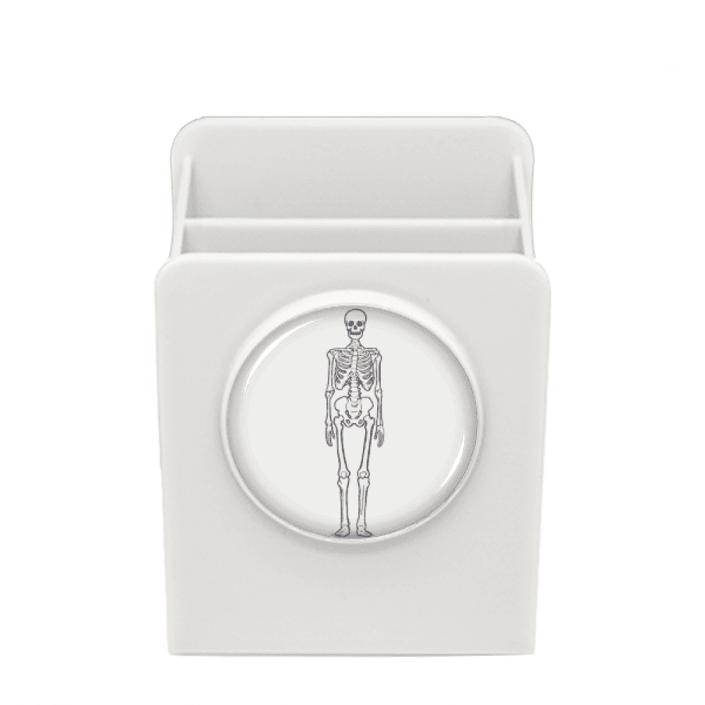 human body b structure desk pencil holder cup pen organizer - Walmart.com