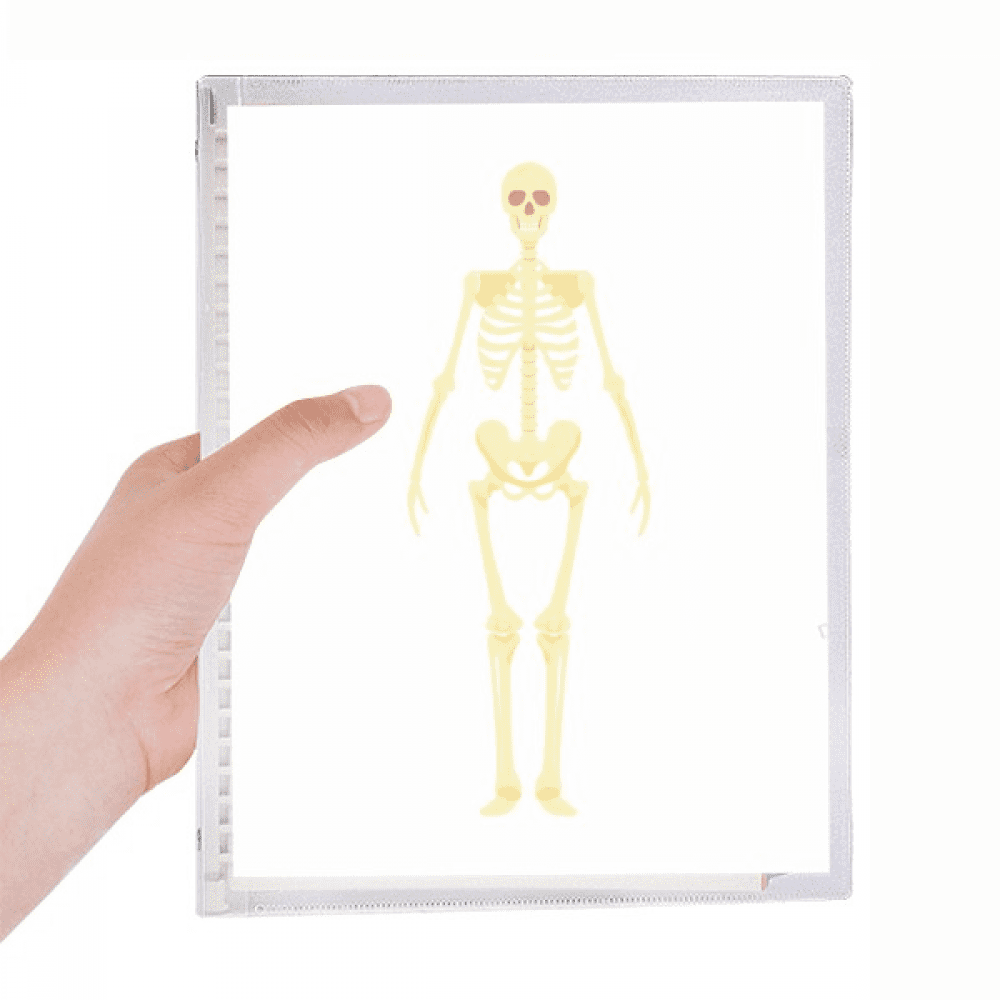 human body illustration b front notebook loose diary refillable journal ...