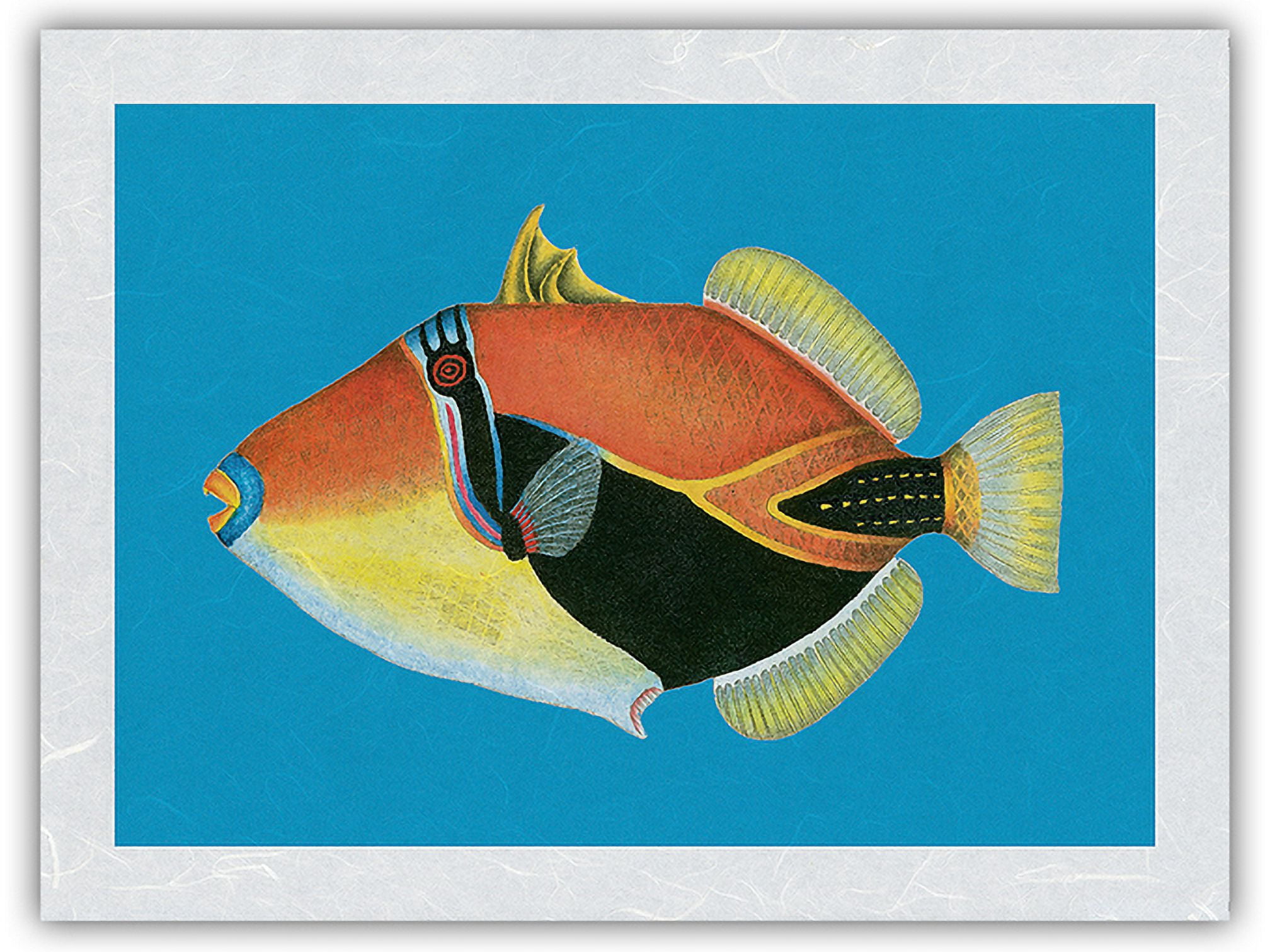 humuhumunukunukuāpuaʻa - Hawaiian Trigger Fish - Vintage Colored ...