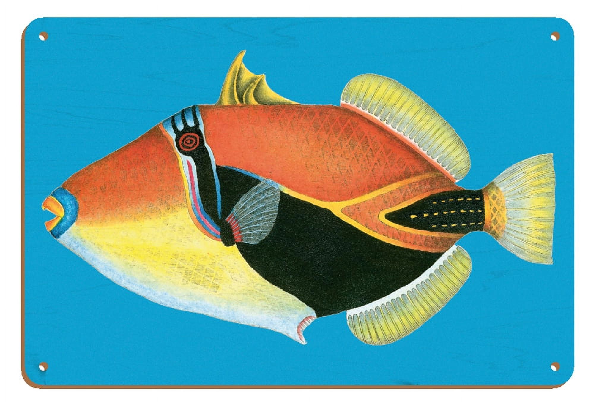 humuhumunukunukuāpuaʻa - Hawaiian Trigger Fish - Vintage Colored ...