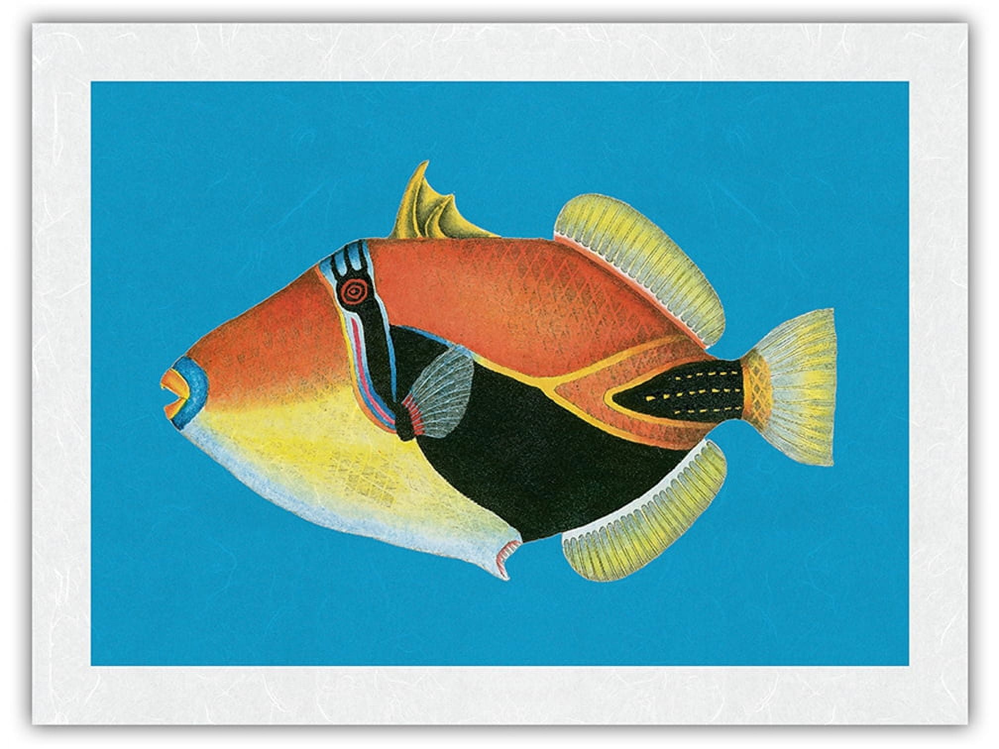 humuhumunukunukuāpuaʻa - Hawaiian Trigger Fish - Vintage Colored ...