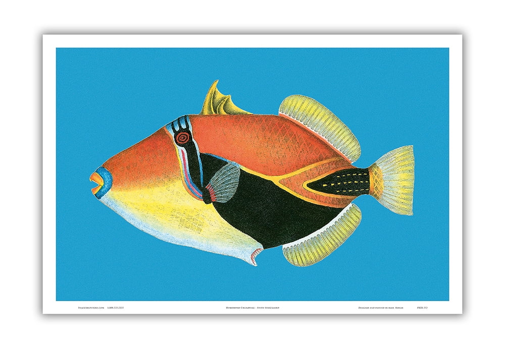 humuhumunukunukuāpuaʻa - Hawaiian Trigger Fish - Vintage Colored ...