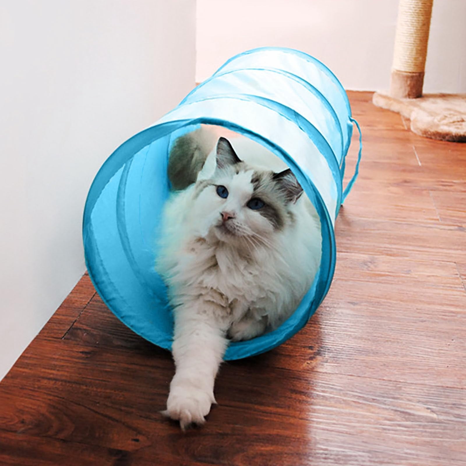 iCAGY Cat Tunnel for Indoor Cats Interactive, Rabbit Tunnel Toys, Pet ...