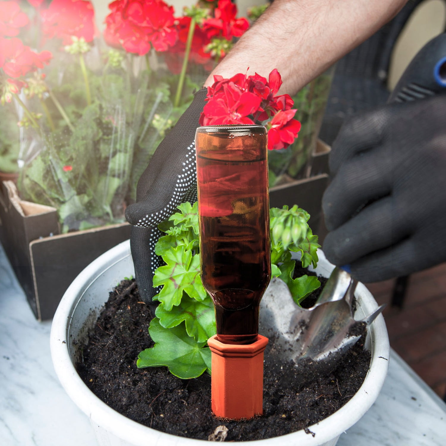 iMounTEK 10pcs Watering Spikes, Automatic Self Watering Stakes for Wine ...