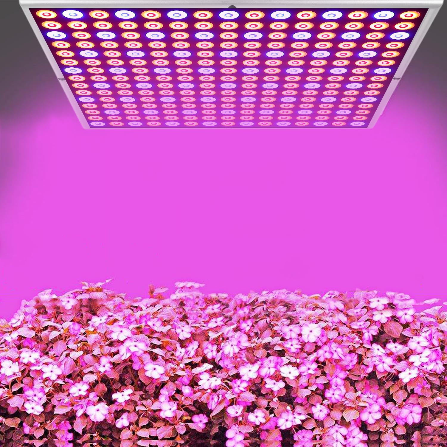 iMounTEK 45W LED Grow Light Panel 225 LEDs Plant Grow Lamp Light with ...