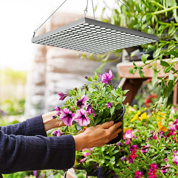 Greenhouse Grow Light