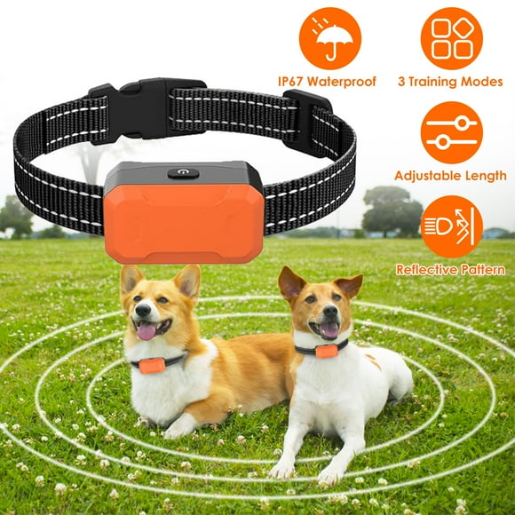 Wireless Electric Dog Fences in All Dog Gates - Walmart.com