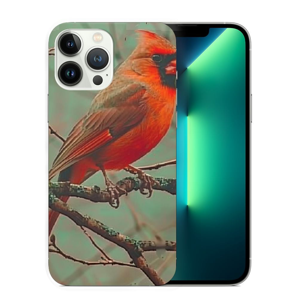 iPhone 15 Cardinal Bird Case - Walmart.com