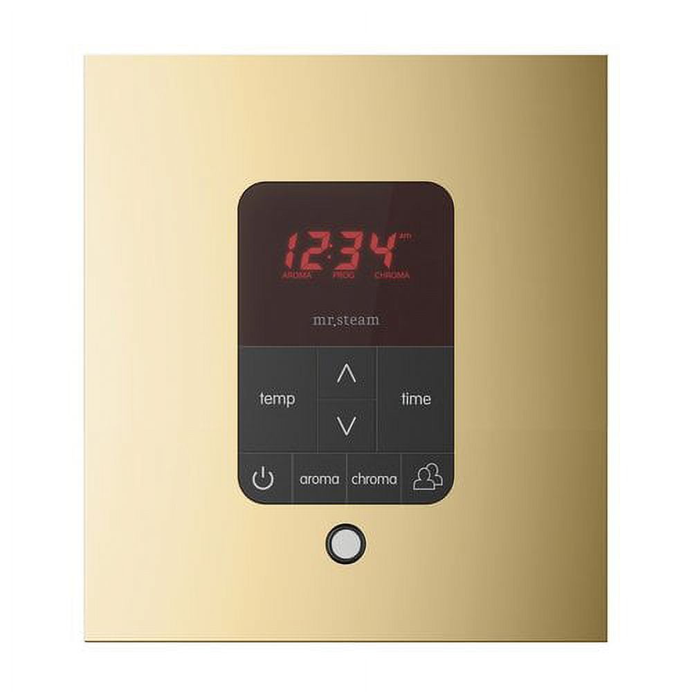 iTempo Plus Square Steam Shower Control in Polished Brass - Walmart.com