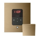 iTempo Square Steam Shower Control, Surface-Mount, Solid Brass, Brushed ...