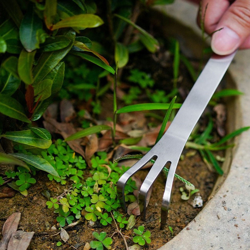 ibasenice Garden Cultivator Hand Tool Mini Garden Bonsai Rake Dual Head ...
