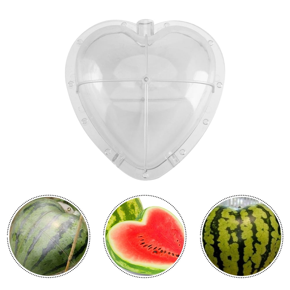ibasenice Watermelon Shaping Grow Mold with Sun Heat Rain Protection ...
