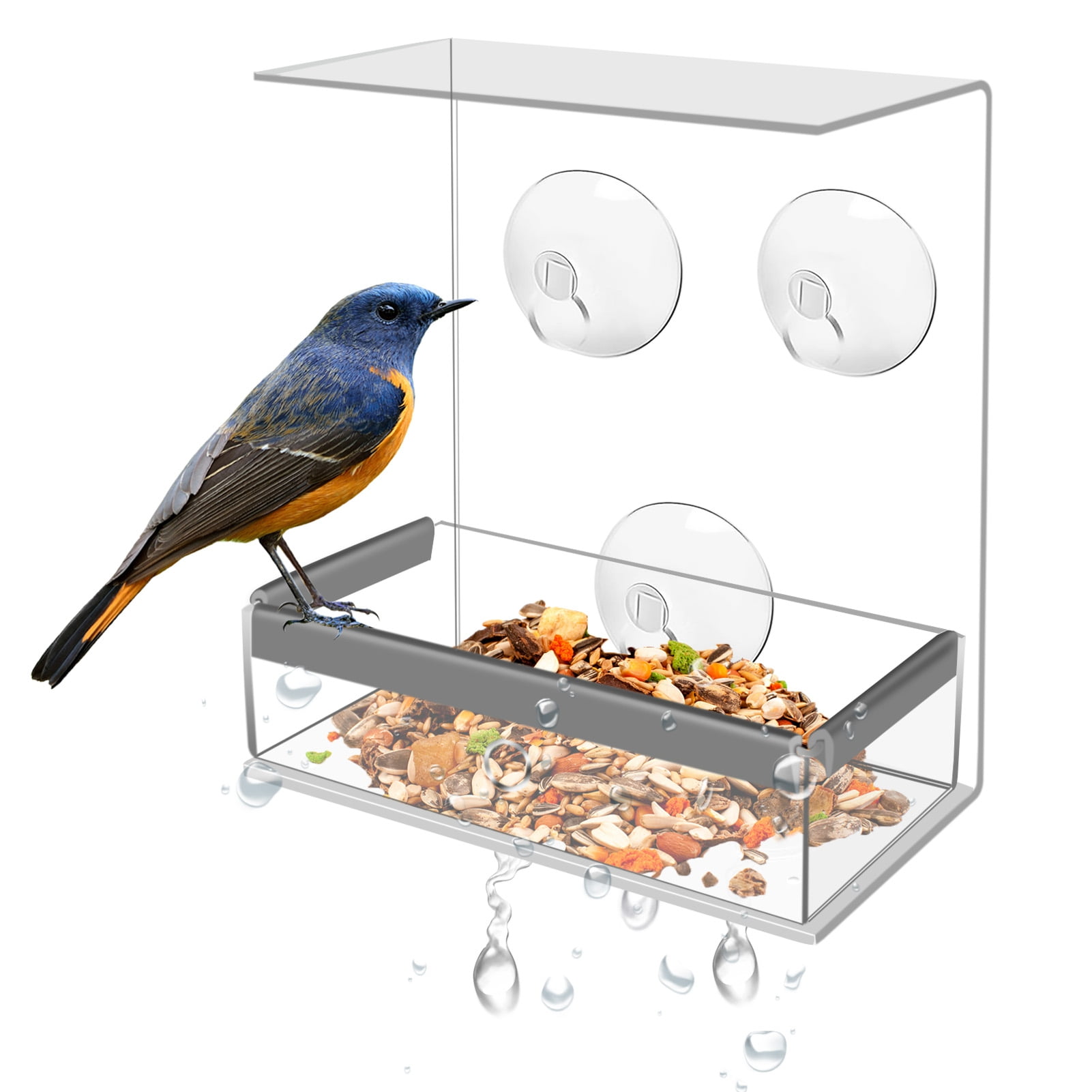 ievspot 1 Pcs Window Bird Feeder with Strong Suction Cups,Kitchen ...