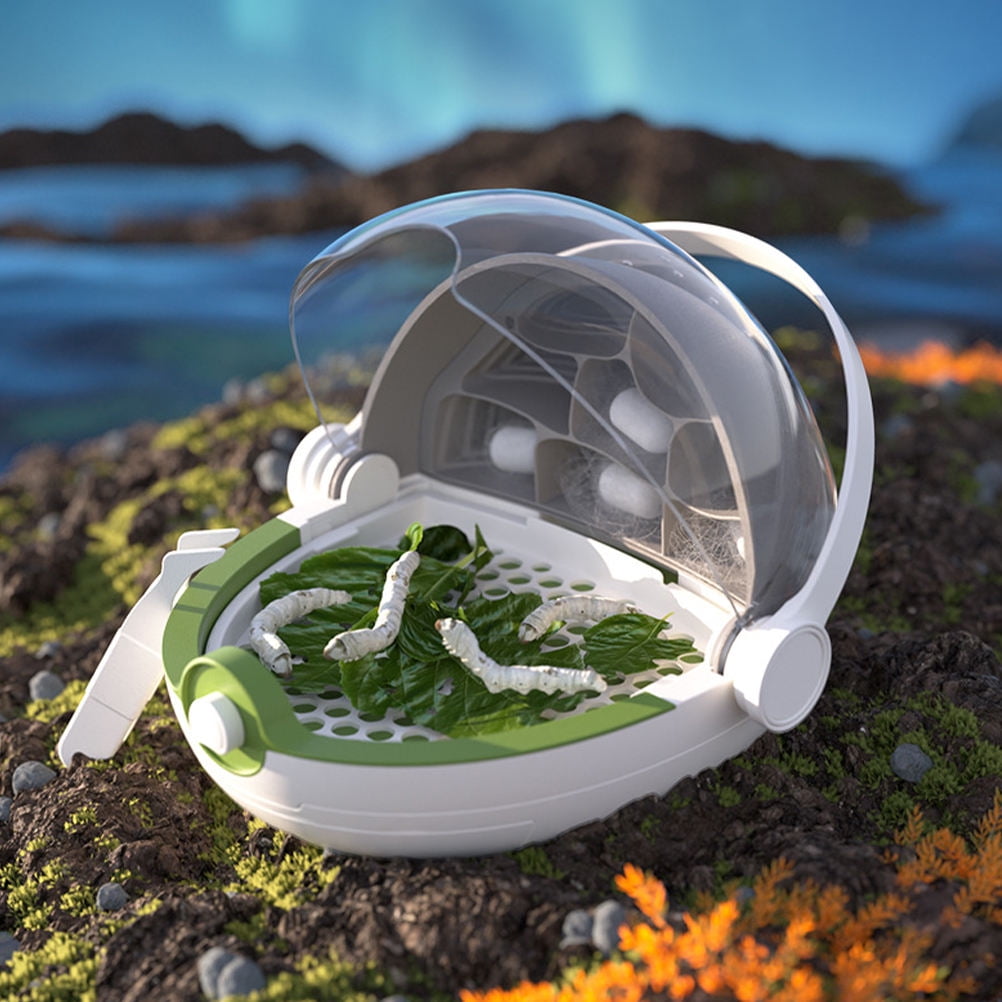 ifundom insect display insect farming set Assorted Color 1 Set ...