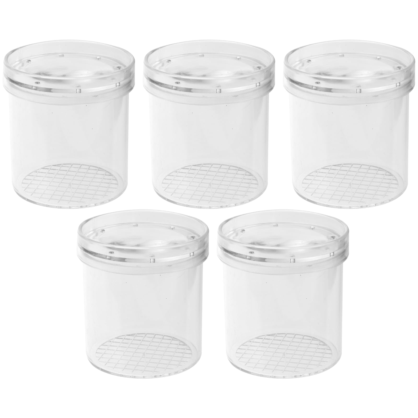 ifundom 5pcs Children Insect Bug Magnifier Viewer Biology Science ...