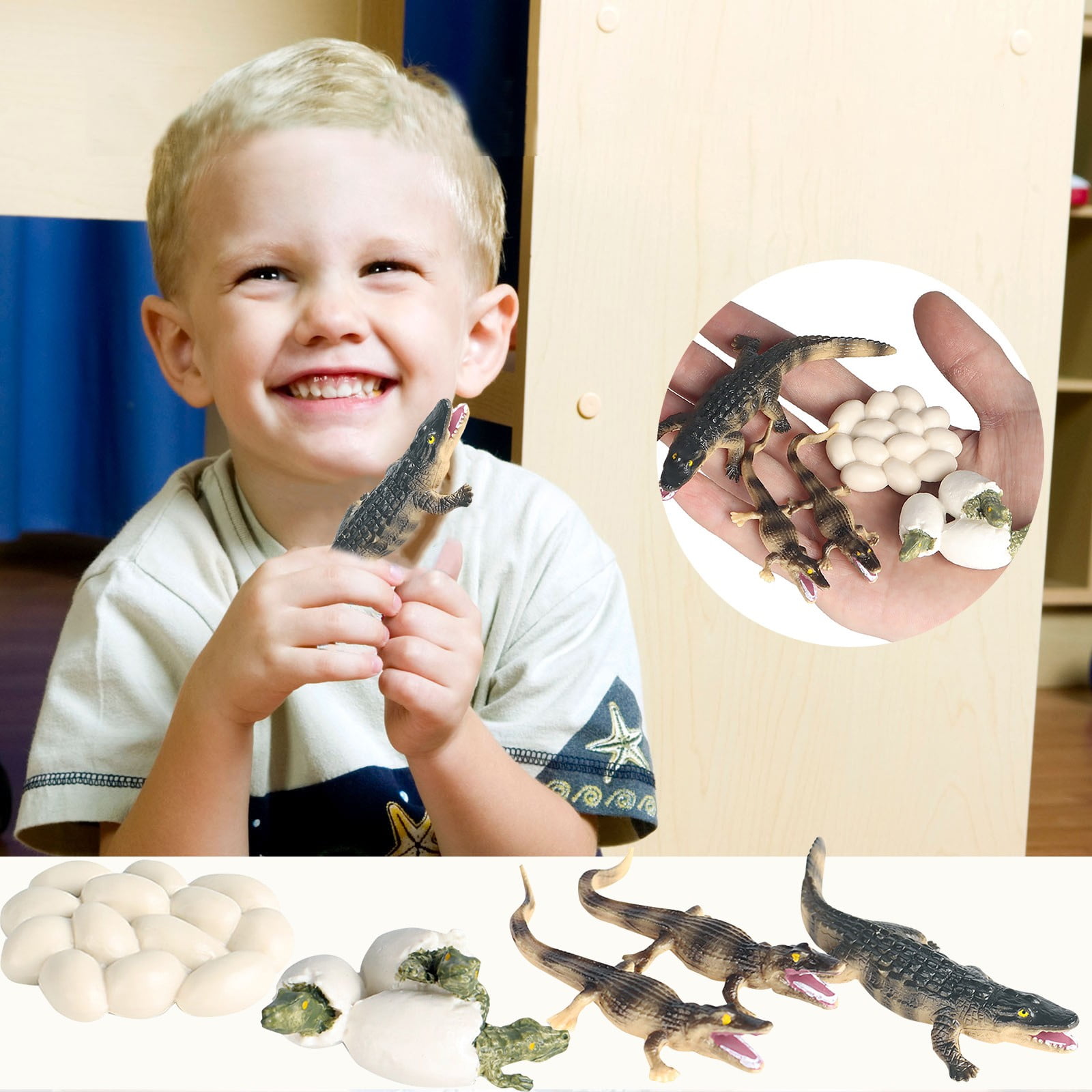 iju7gthy Educational Children's Animal Growth Cycle Model Cartoon Toys ...