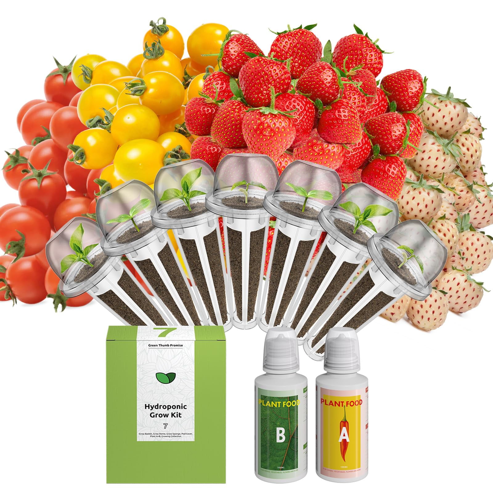 inbloom Fruit Seed Pod Kit for AIS1 AeroGarden, Ahopegarden Hydroponics ...