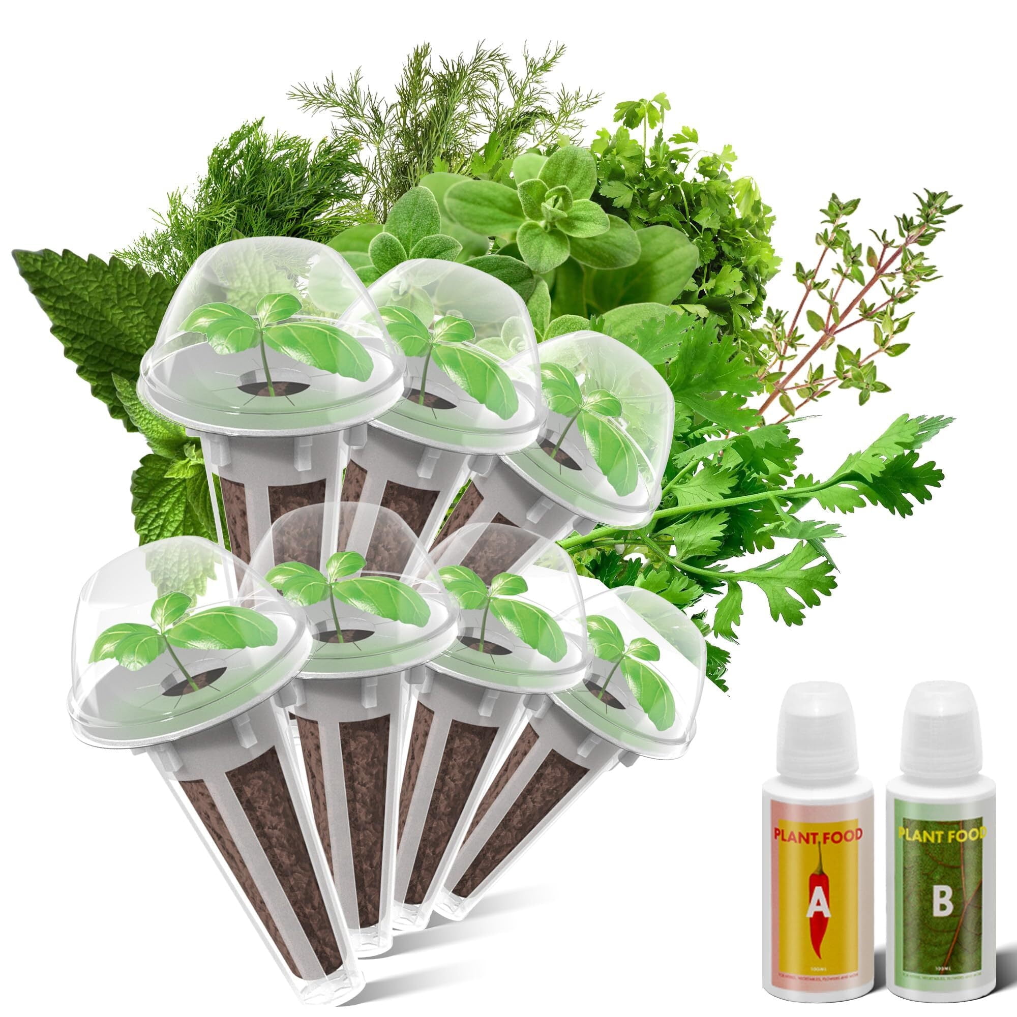inbloom Herb Seeds with Pod Kit for inbloom Hydroponics Growing System ...