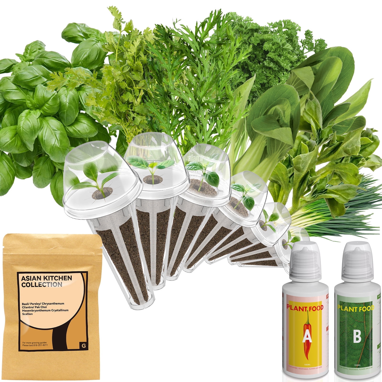inbloom Asian Herb Seeds with Pod Kit for AeroGarden, inbloom ...