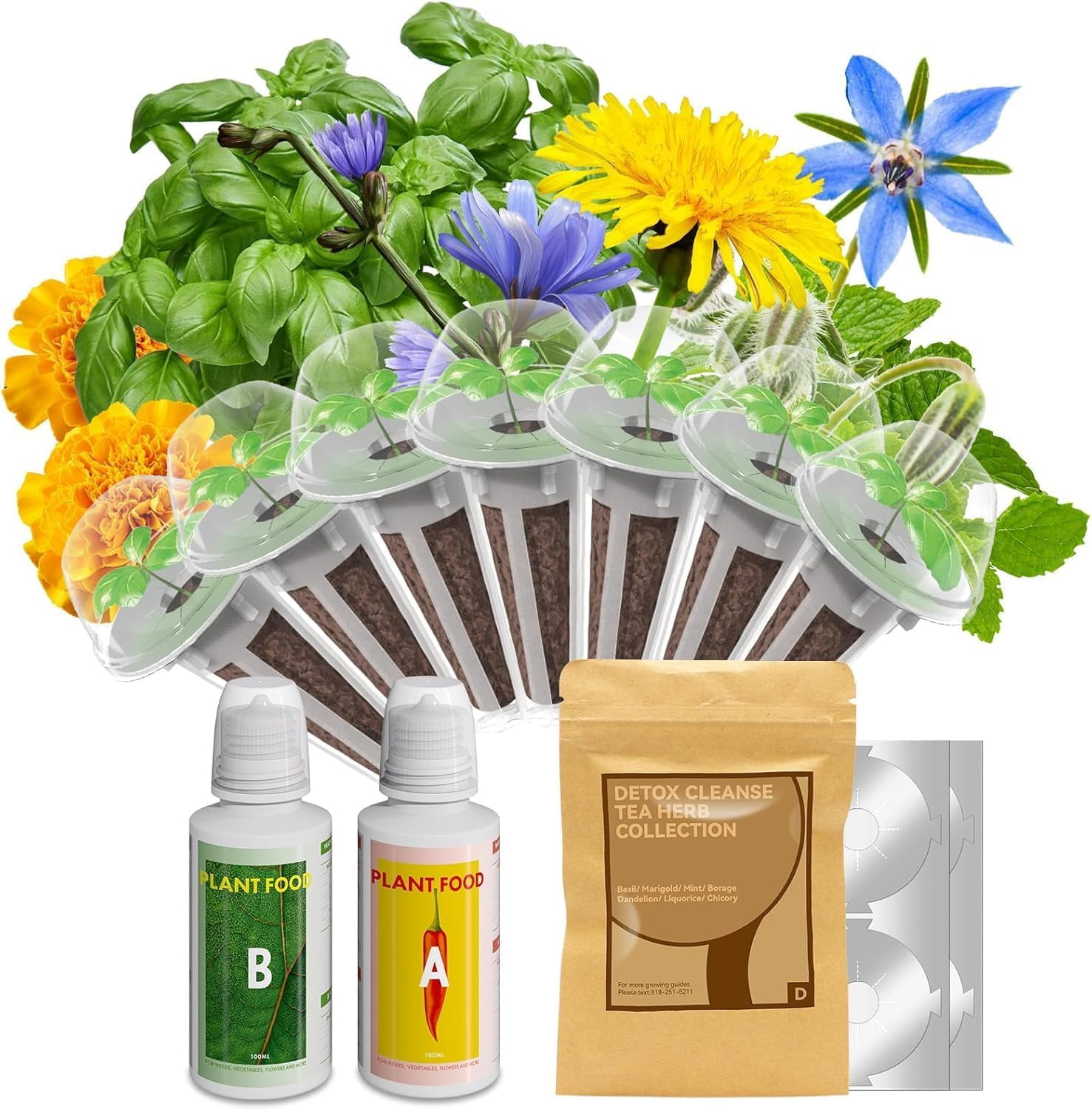 inbloom Herbal Tea Seeds with Pod Kit for AeroGarden, inbloom ...