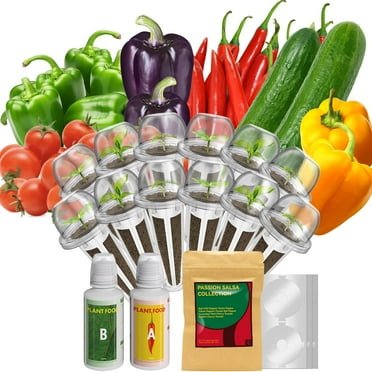 Toys By Nature: Dinosaur Domain - DIY Biosphere Terrarium Starter Kit ...