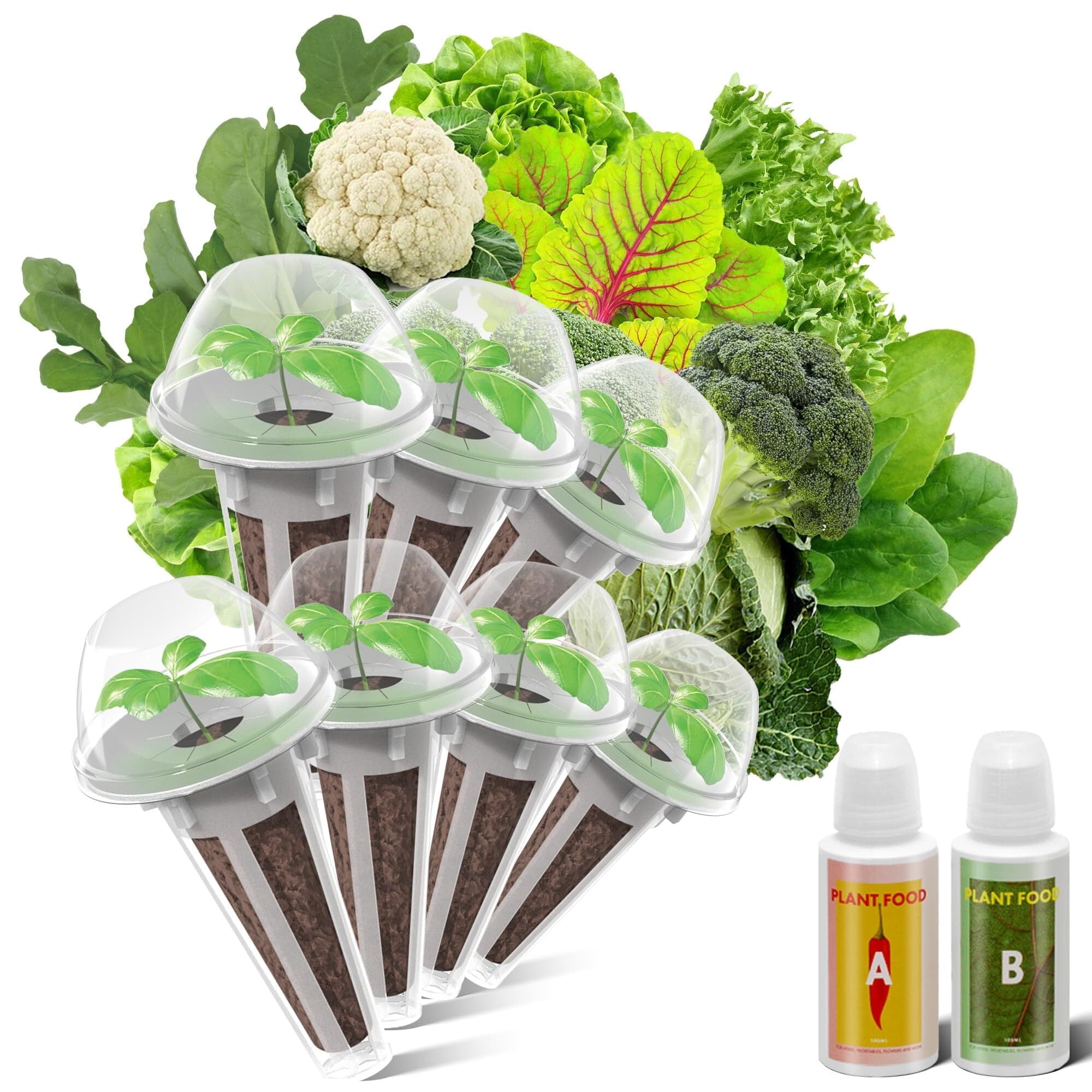 inbloom Salad Seeds Pod Kit for AeroGarden, IDOO, inbloom Hydroponics ...