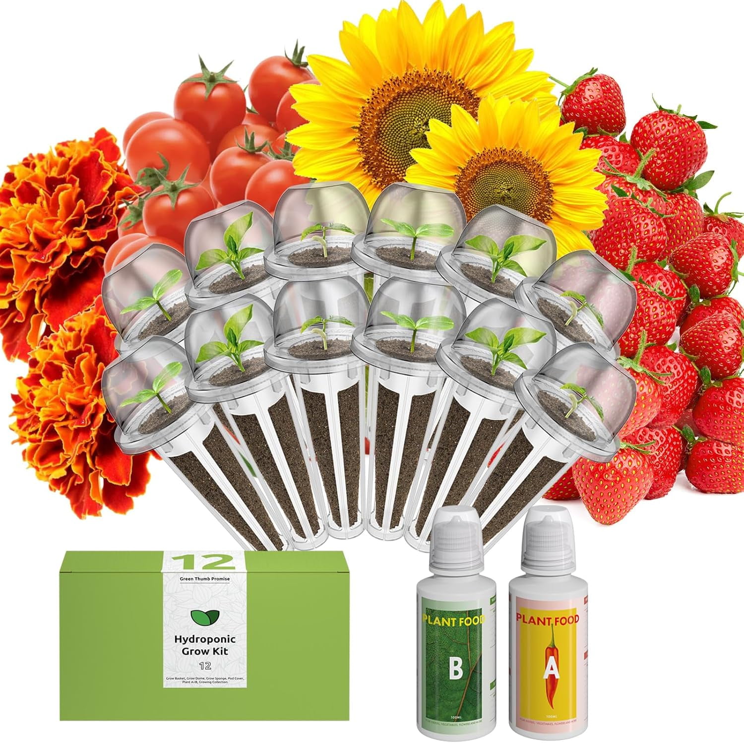 inbloom Wildflower & Fruit Mixd Seed Pod Kit for AeroGarden ...