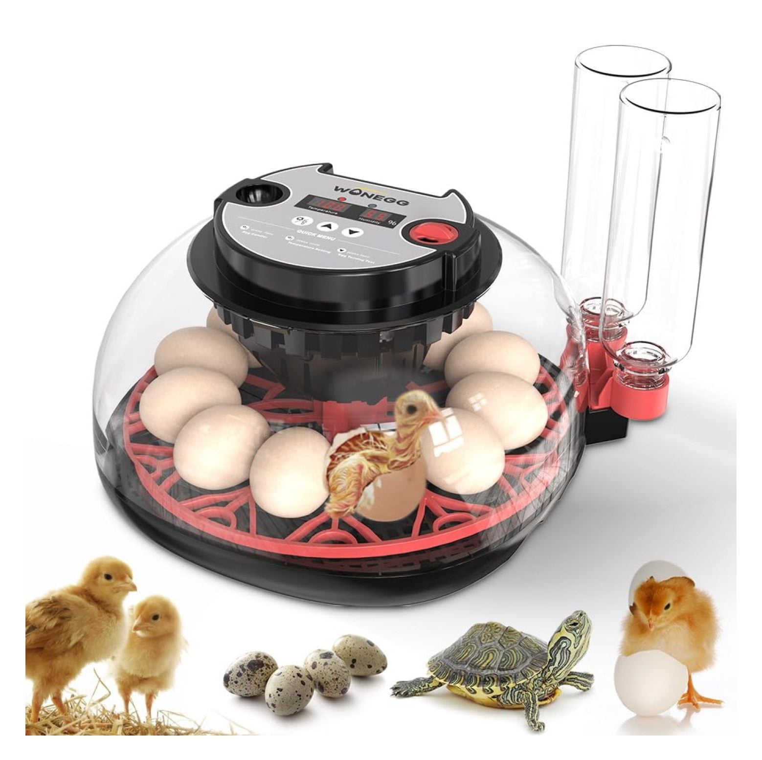 incubators for Hatching Eggs，12 Egg Incubator,Egg Incubator with Automatic Egg Turning and ...