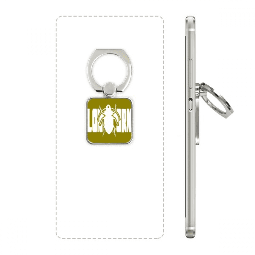 insect harm phobia longicorn ph stand holder square bracket universal ...