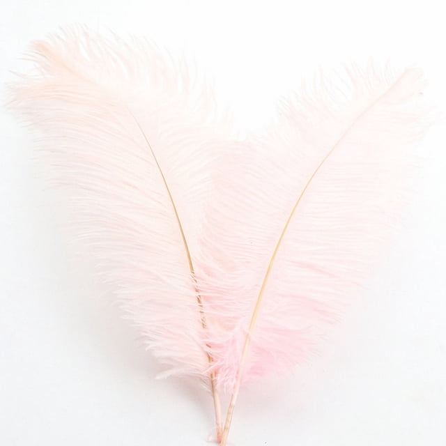 ionze 30-35cm Large Ostrich Feathers for Vase, Floral Arrangement ...