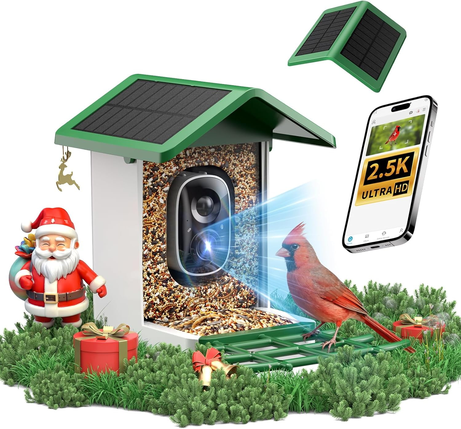 isYoung Smart Bird Feeder with Camera, 2.5K QHD, AI Identify 16000 ...