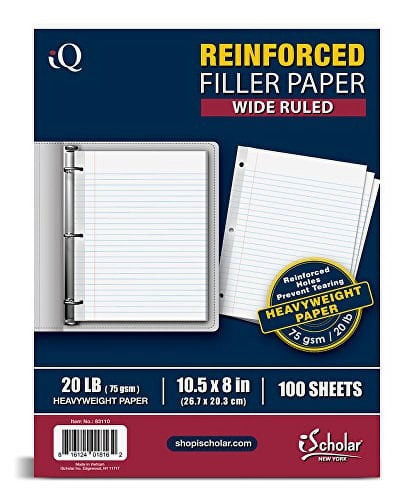 ischolar reinforced notebook filler paper (83110) - Walmart.com