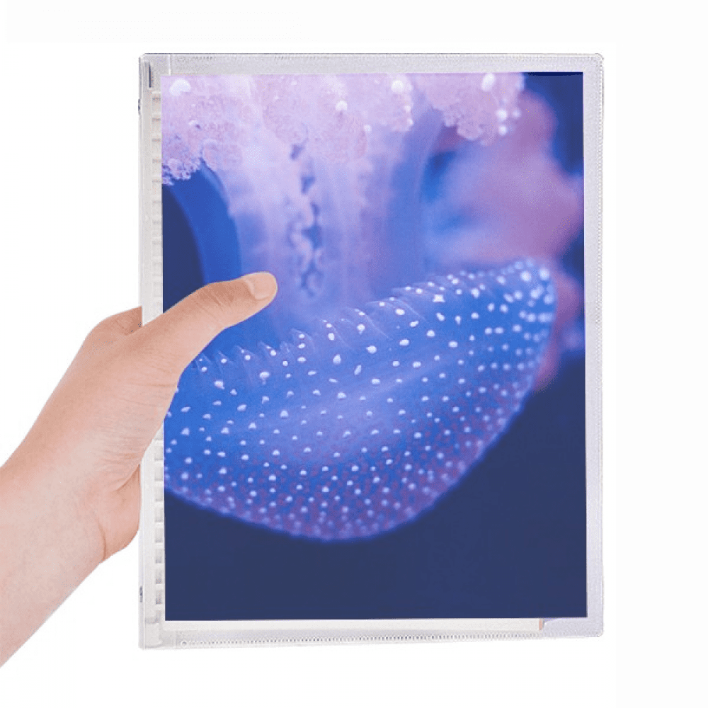 jellyfish marine organism tropical sea notebook loose diary refillable ...