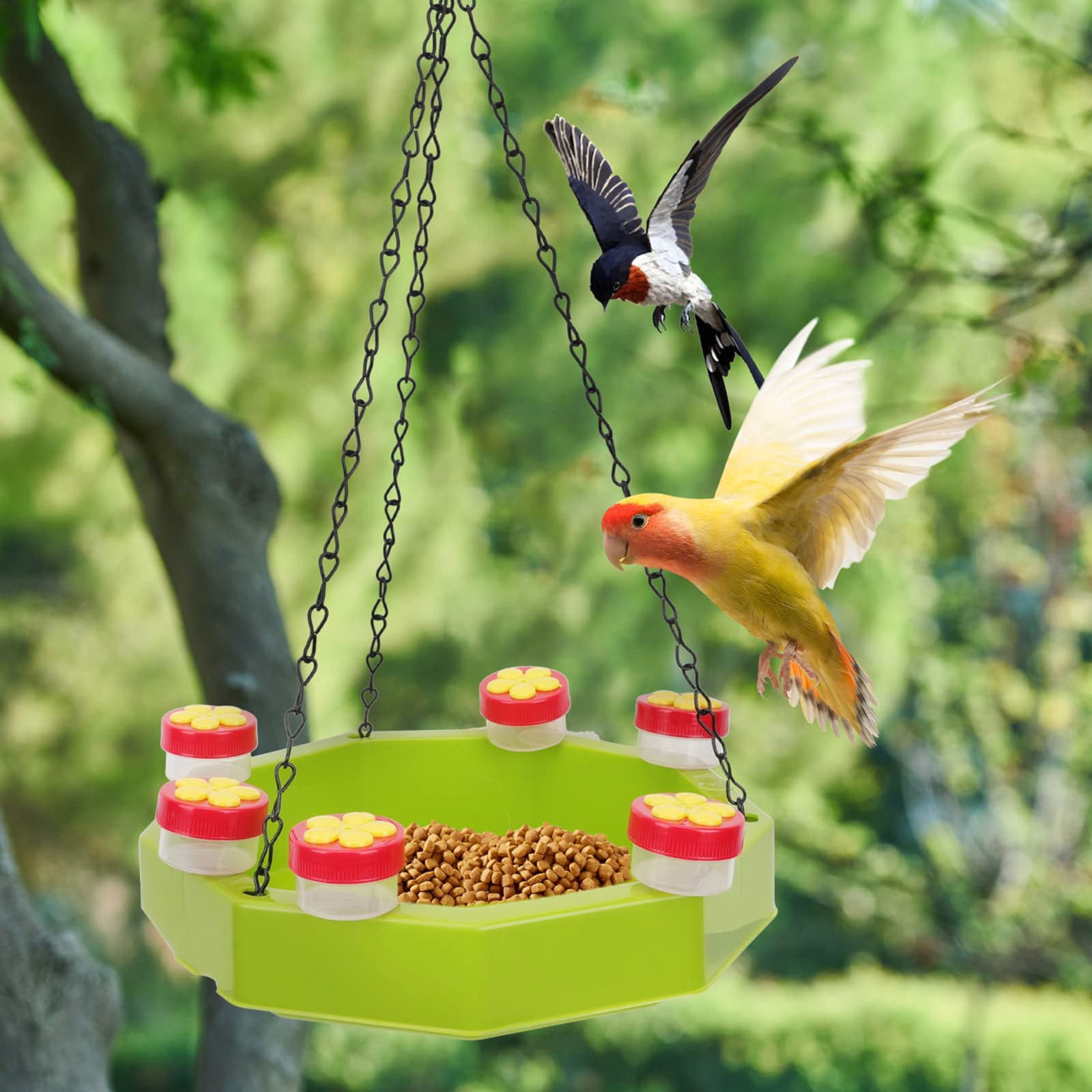 jiacuix Bird Feeding Basin And Water Feeding 2-in-1 Bird Feeder Garden ...