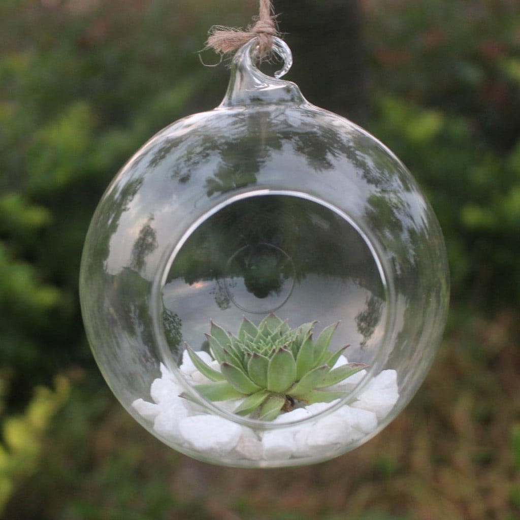 jiacuix Flower Hanging Vase Glass Planter Plant Terrarium Container ...