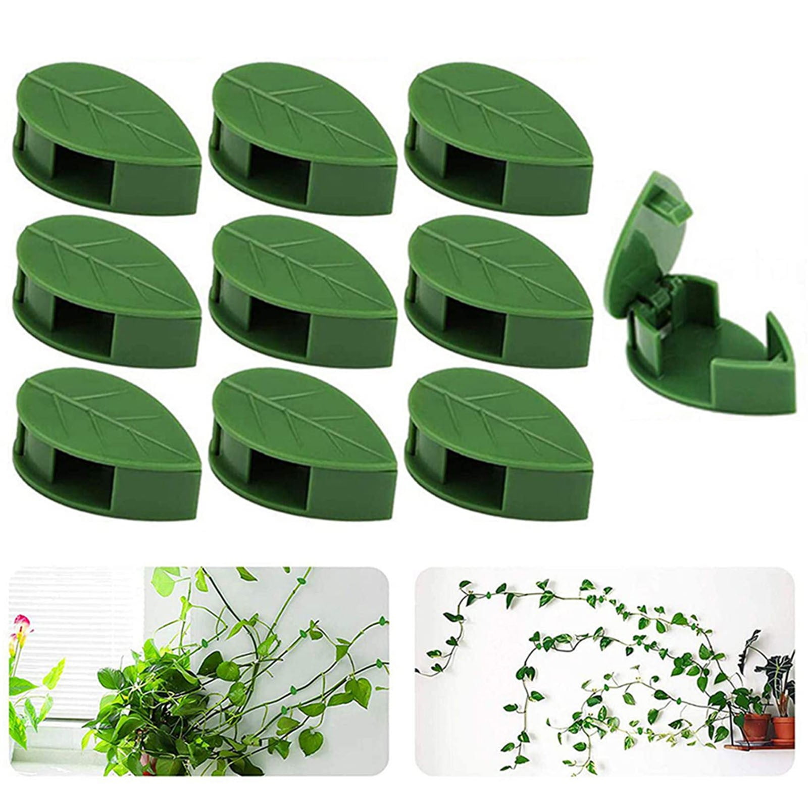 jiacuix Plant Vine Traction Clip Wall Fixing Clip Self-adhesive Hook ...