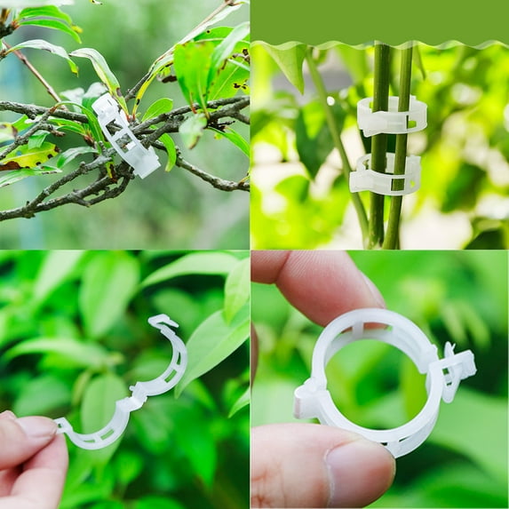 jiacuix Tomato Clips Garden Flower Vegetable Binder Plant Support ...