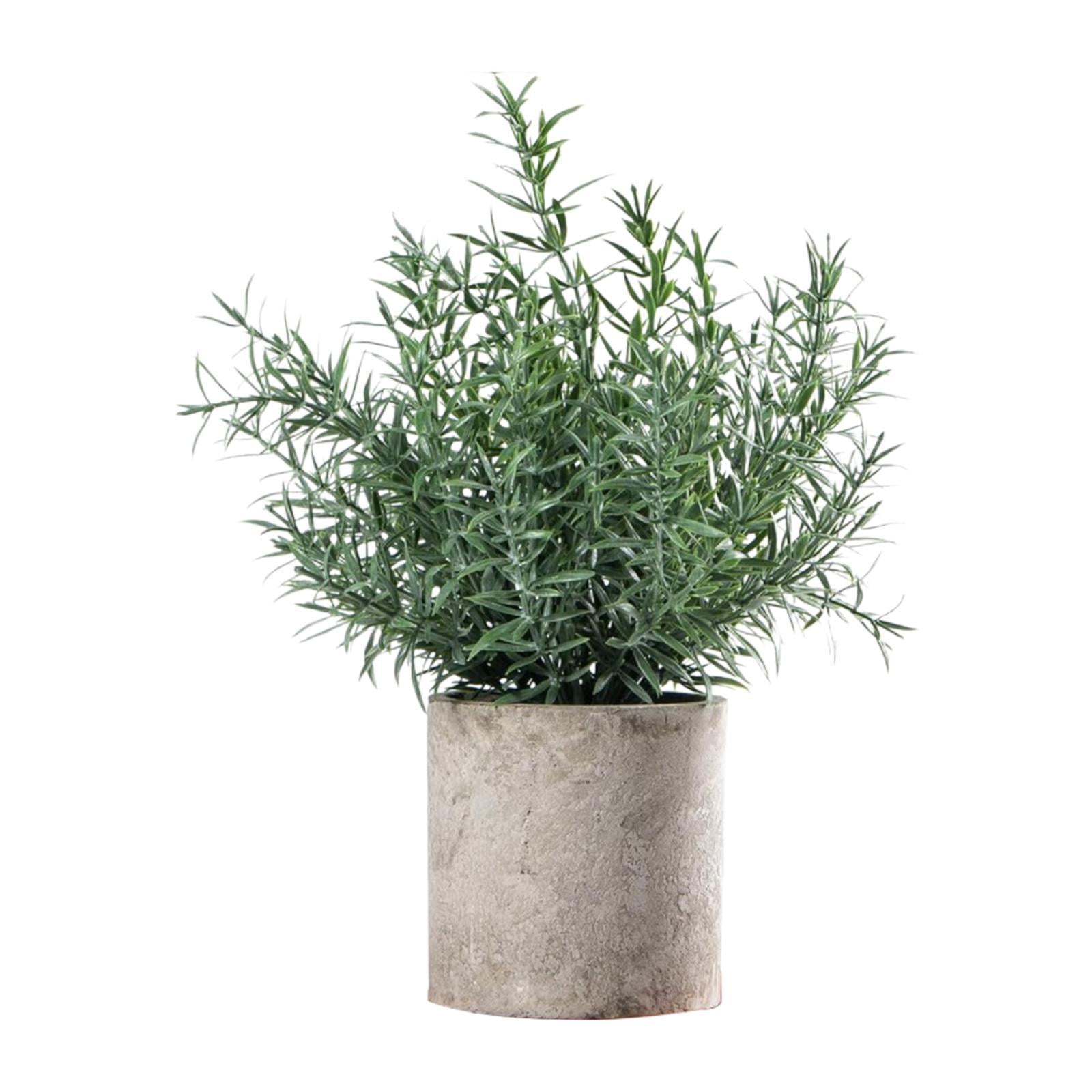 jicheng Artificial Small Potted Plants for Desktop Ornament Desk ...
