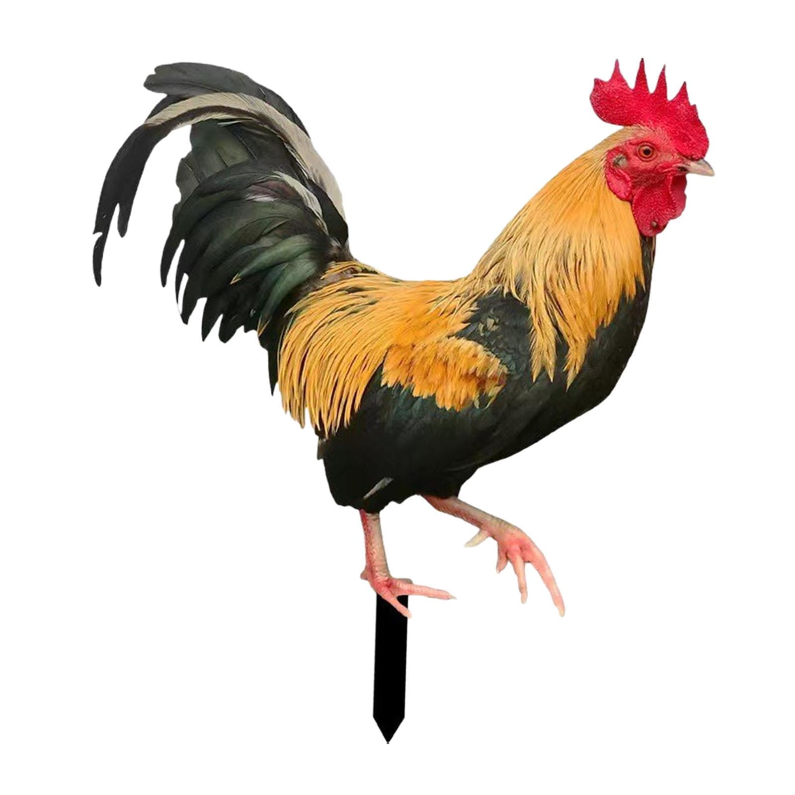 jicheng Chicken Garden Statue Stake Hen Lawn Ornament Backyard Gift ...