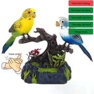 SYNPOS Interactive Moving & Singing Parrot - Repeats Your Words ...
