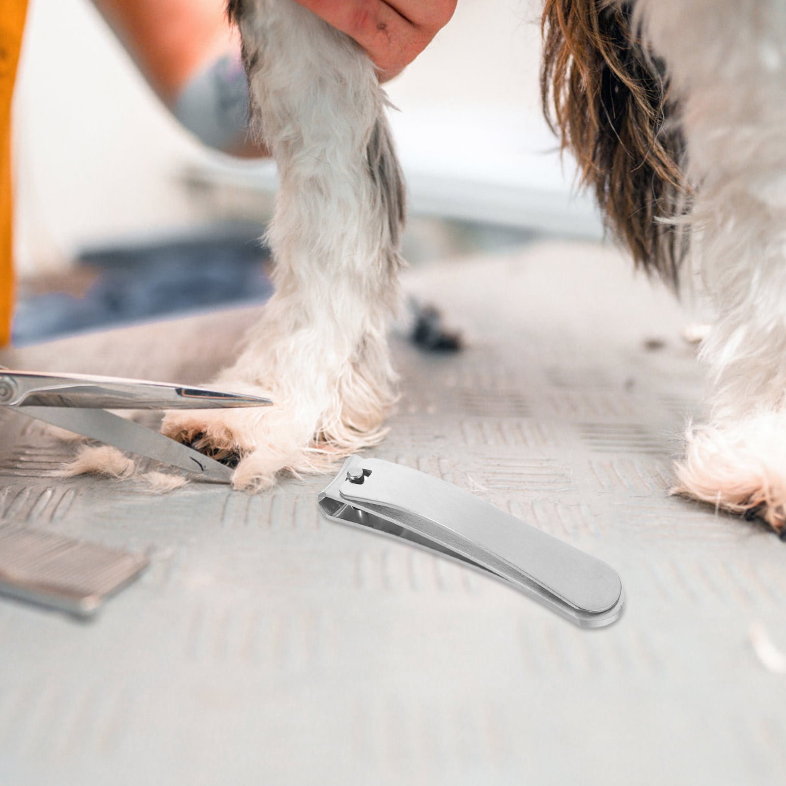 jojofuny Dog Toenail Grinder 1Set Cats Nail Clippers with Angled Design ...