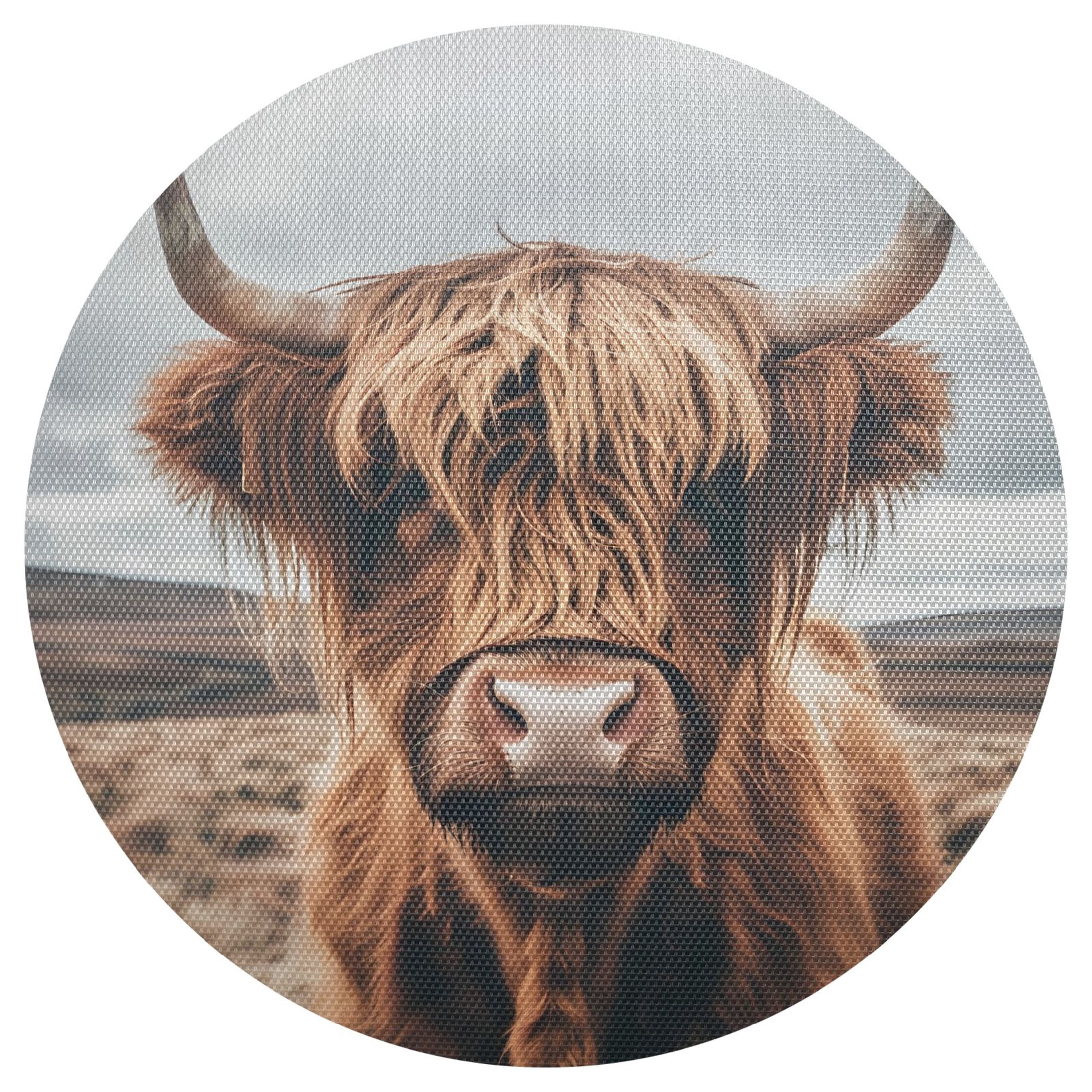 joogoo A Highland Cow Round Plate Mats for Dining Table Placemat 1 ...