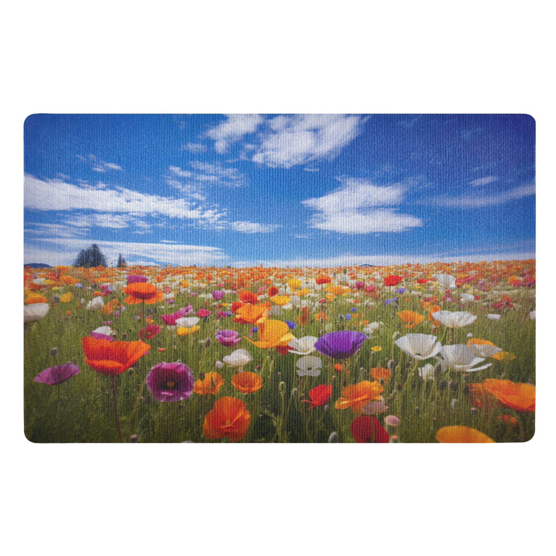 joogoo Door Mats Flower Sky Outdoor Indoor Entrance Low Profile Floor ...