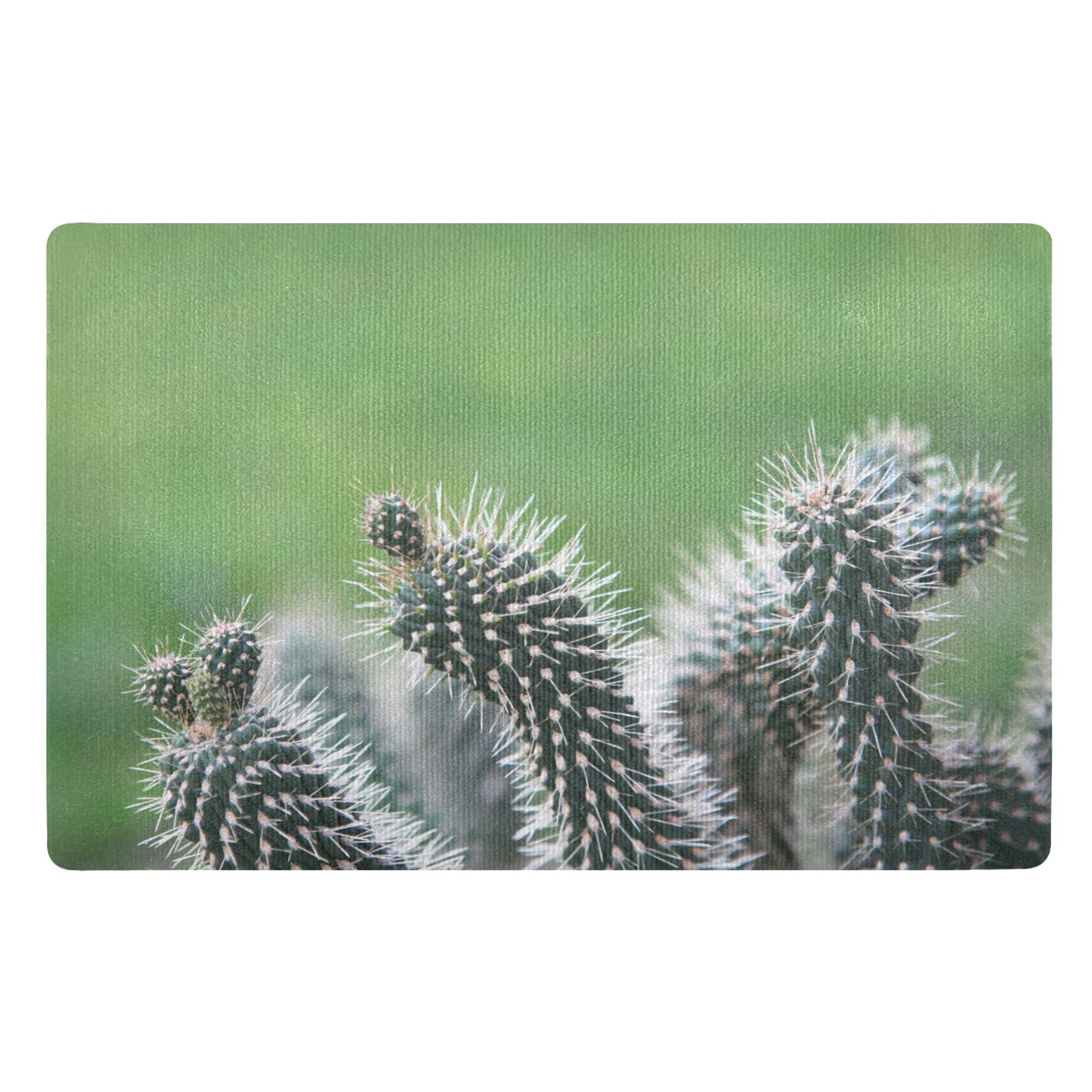 joogoo Door Mats Green Cactus Outdoor Indoor Entrance Low Profile Floor ...