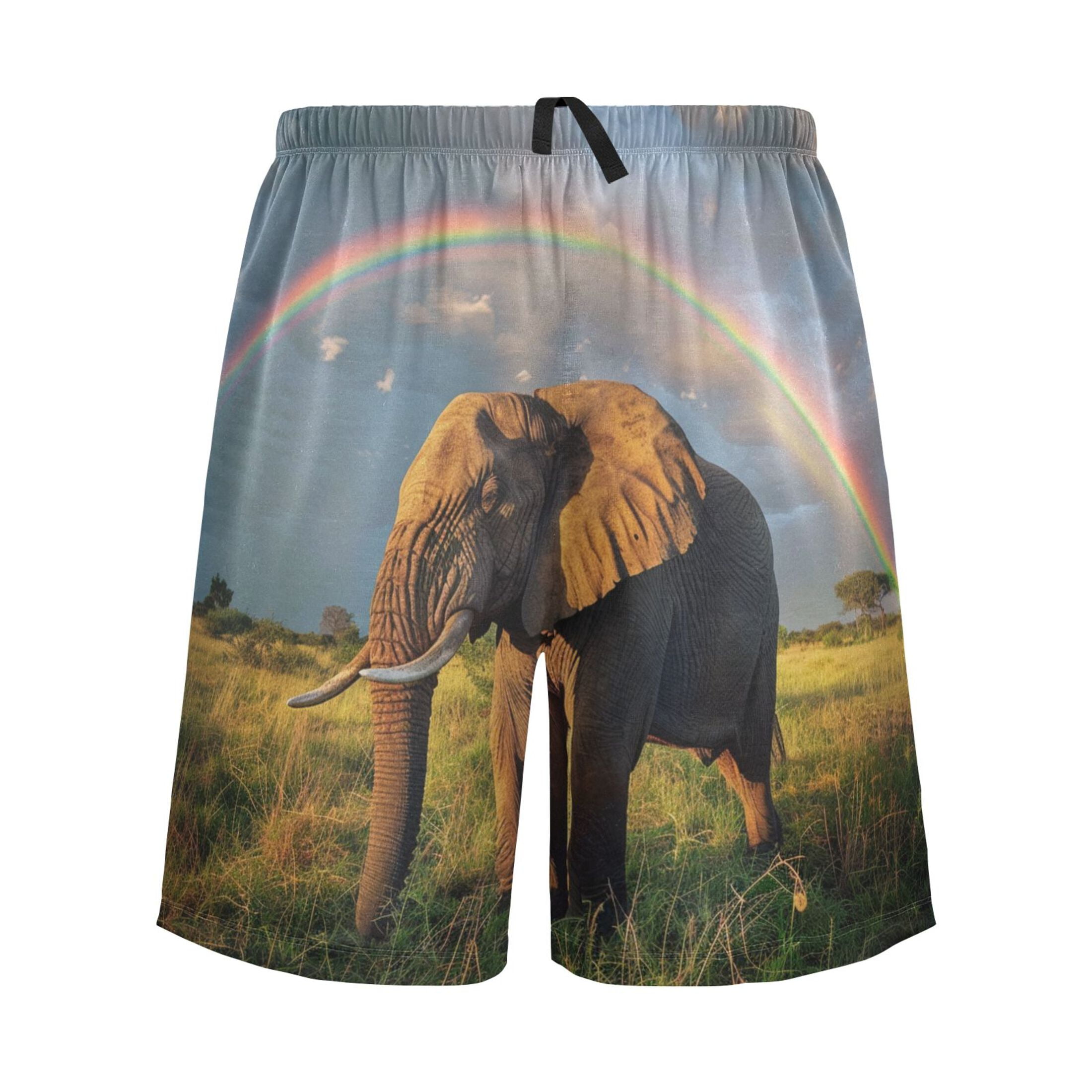 joogoo Mens Swim Trunks Elephant with Rainbow Sky Beach Shorts ...