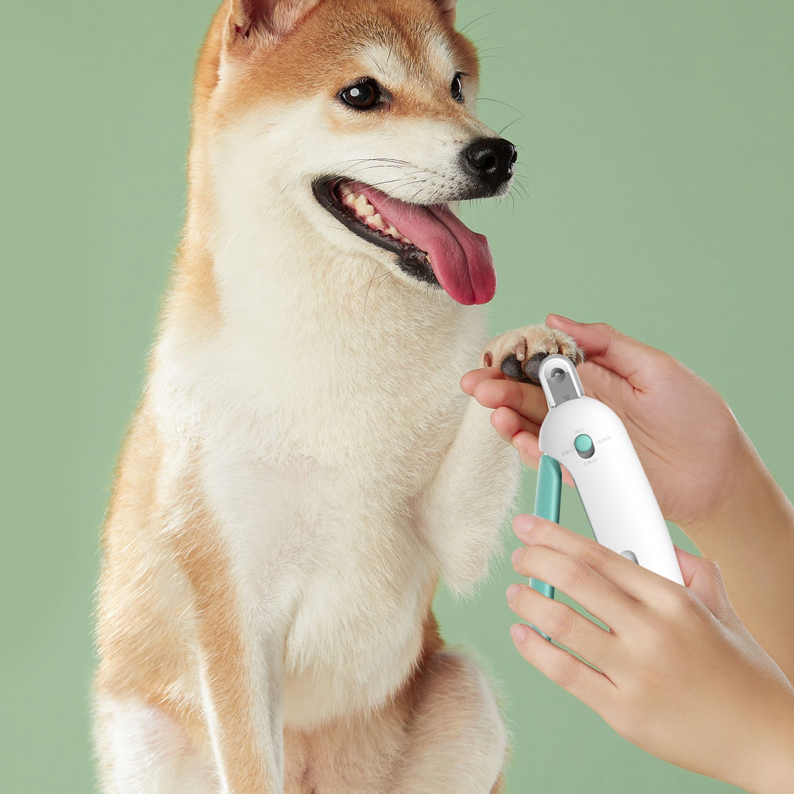 joyioe Dog Cat Pets Nail Clippers and Trimmers with Safety Guard to ...