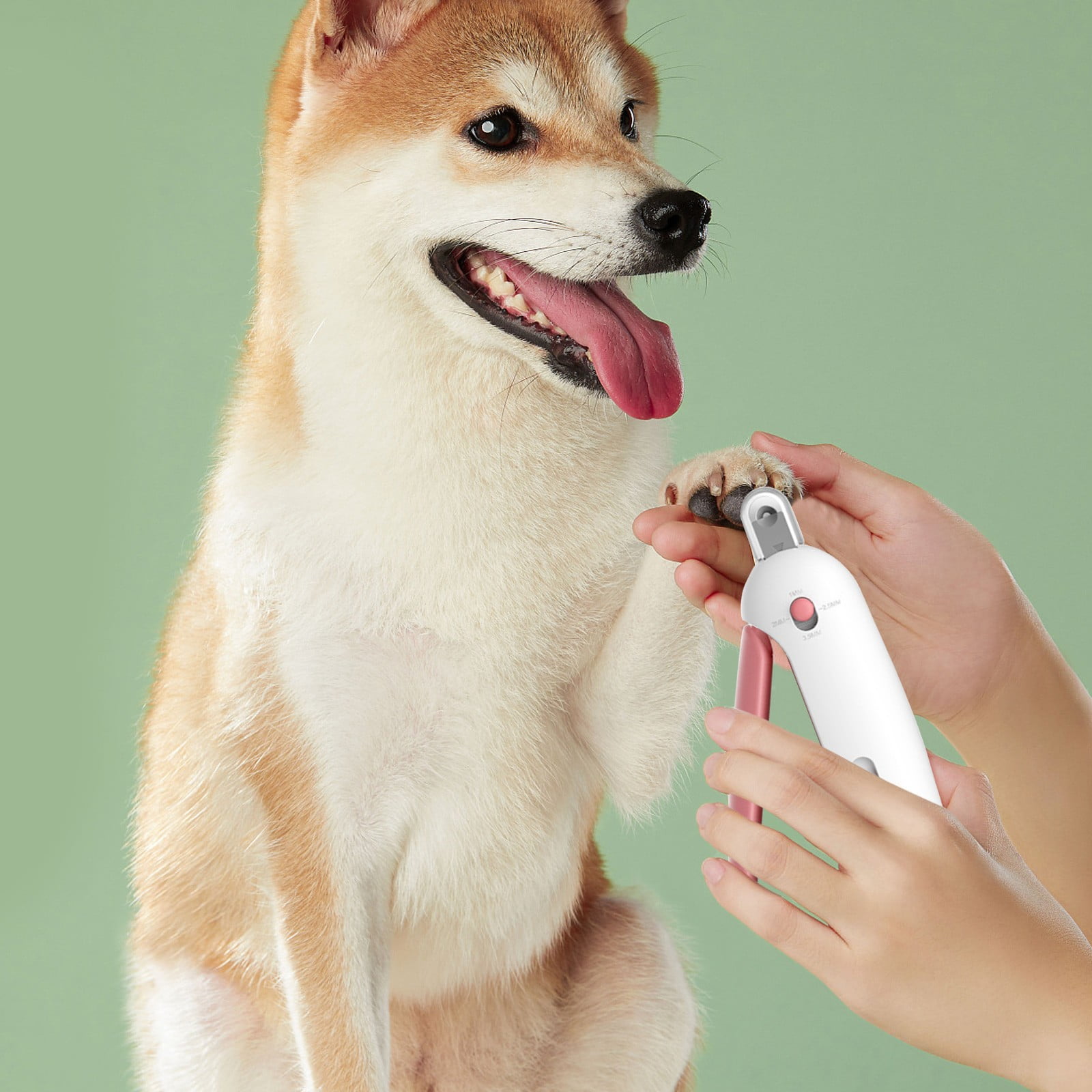 joyioe Dog Cat Pets Nail Clippers and Trimmers with Safety Guard to ...