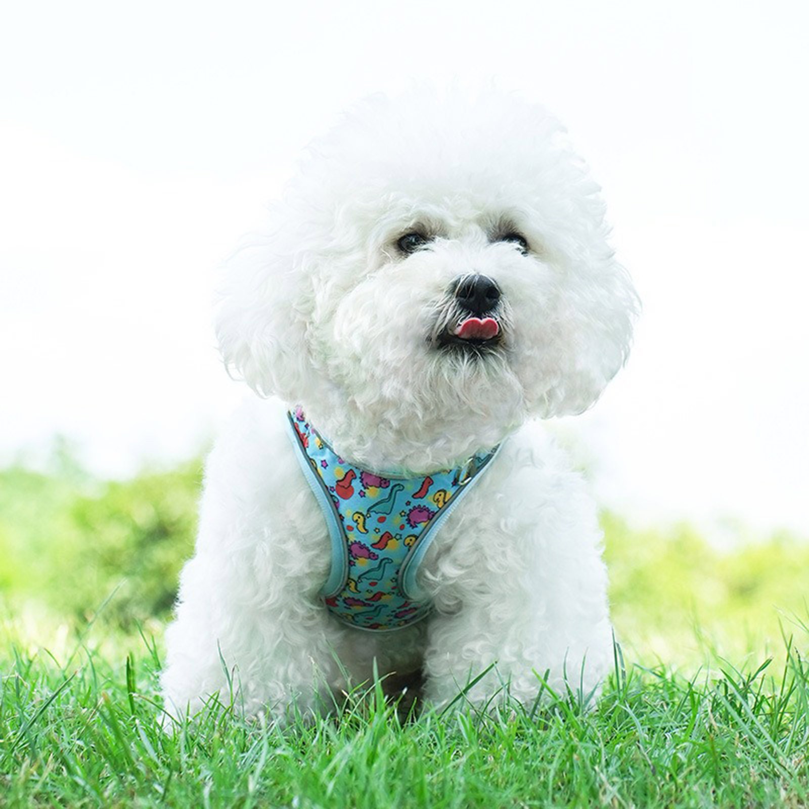 joyioe Step in Dog Harness and Leash Set Flower Adjustable Easy Walk ...