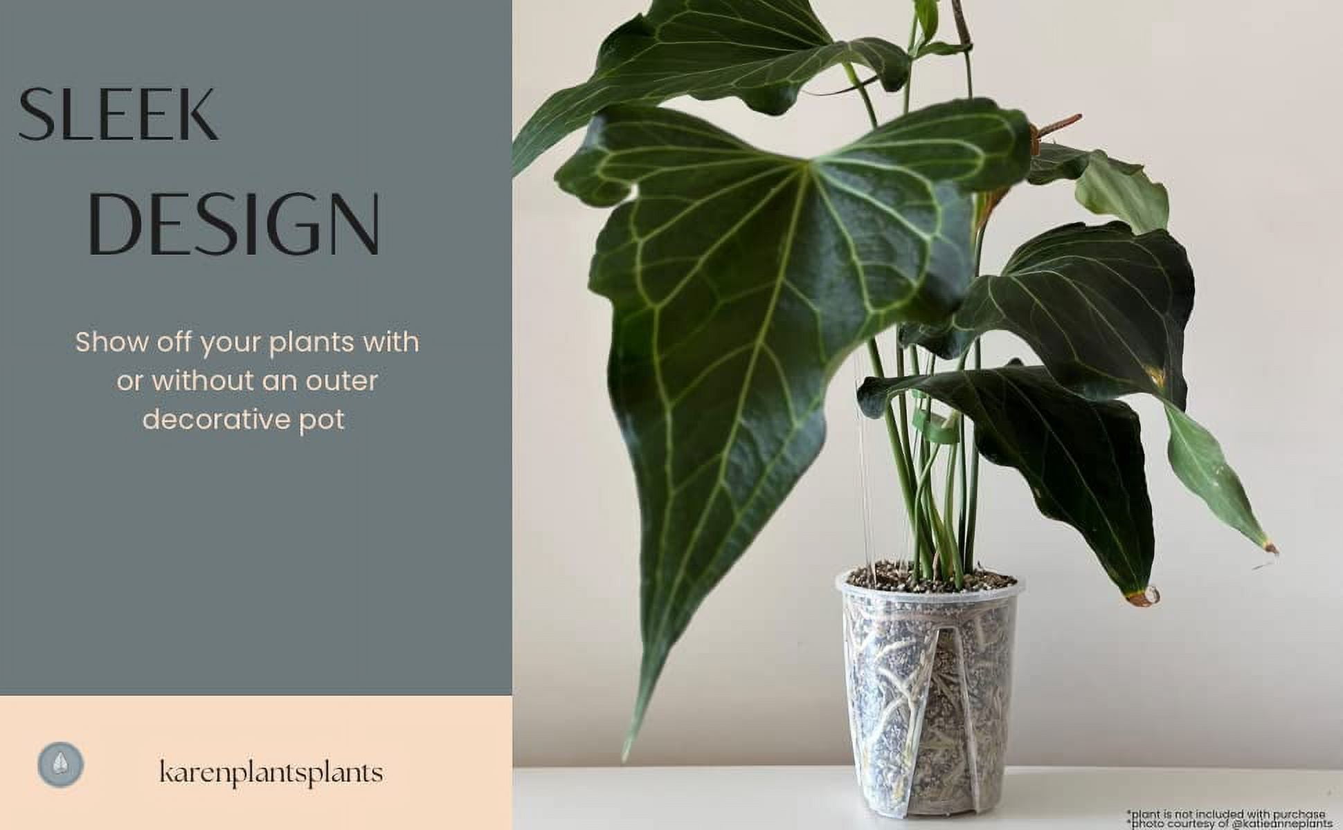 karenplantsplants™ 7", 9" Clear Tall Slotted Air Vent Pots Variety Pack ...